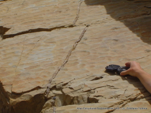 Depositacionales – Asociación Argentina de Sedimentología