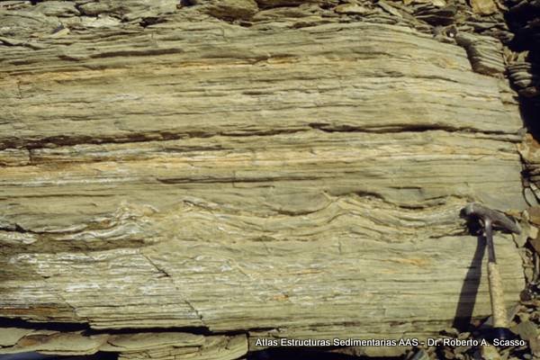 Depositacionales – Asociación Argentina de Sedimentología