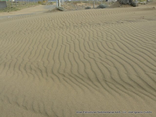 Depositacionales – Asociación Argentina de Sedimentología